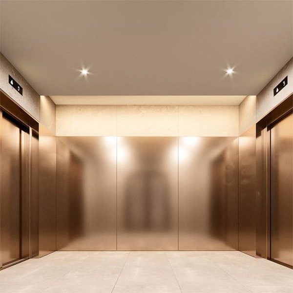 Custom Customised SUS304 lift cladding wall panels to enhance hotel ...
